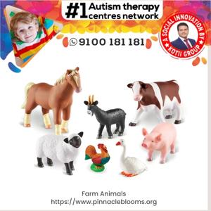 Pinnacle Blooms Network: Animal Exploration for Therapy and