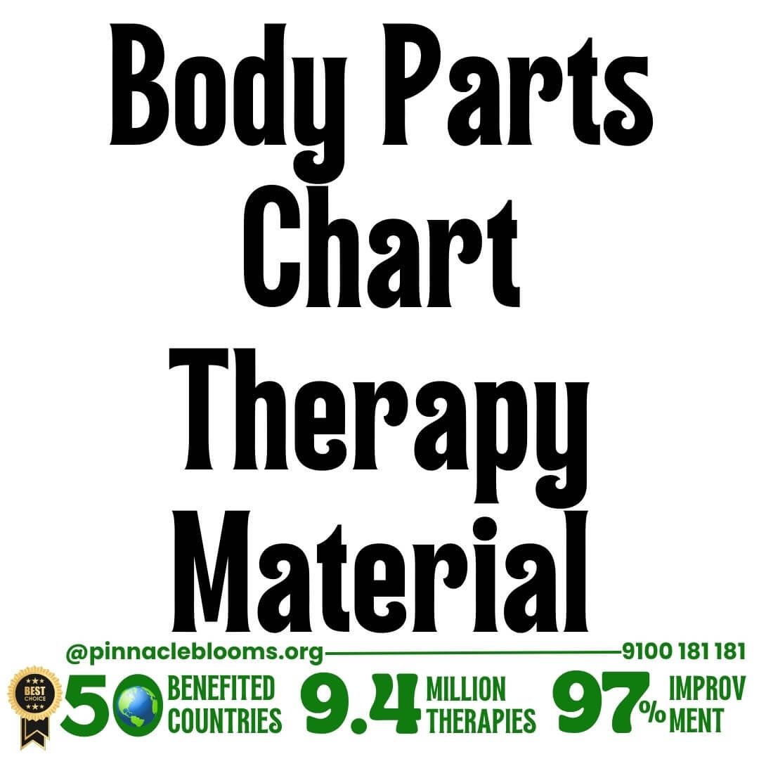 Empowering Kids Through Body Parts Charts | Pinnacle Blooms