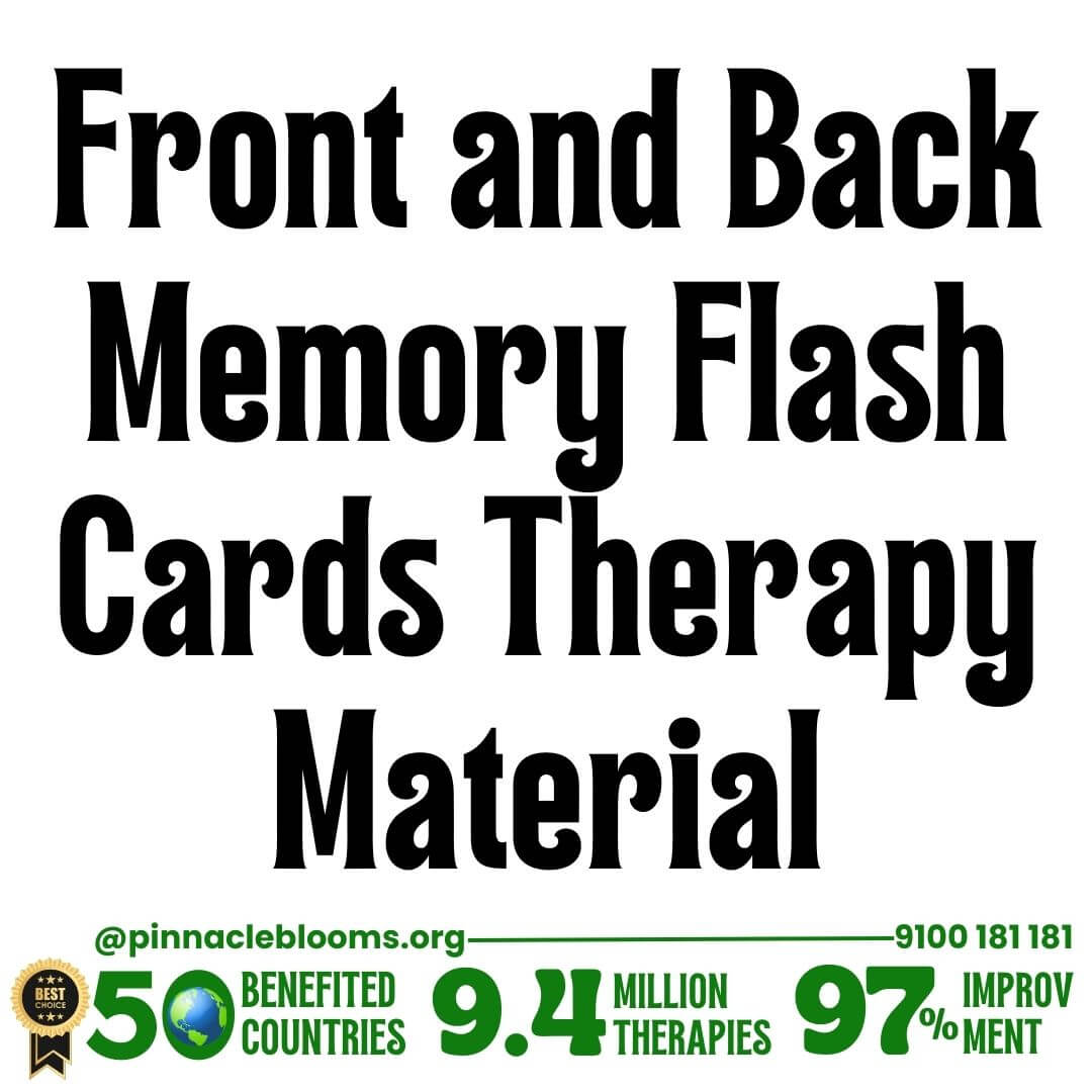 Front and Back Memory Flash Cards for Autism Therapy | Pinn