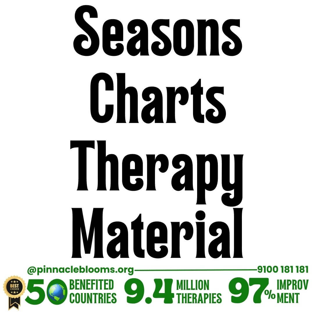 Therapy Material: Seasons Charts for Autism and Development