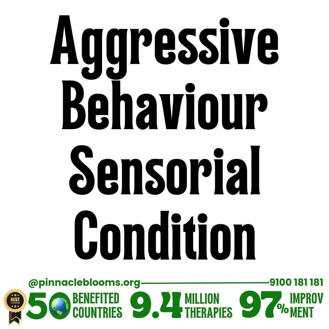 Understanding and Managing Aggressive Behavior in Children