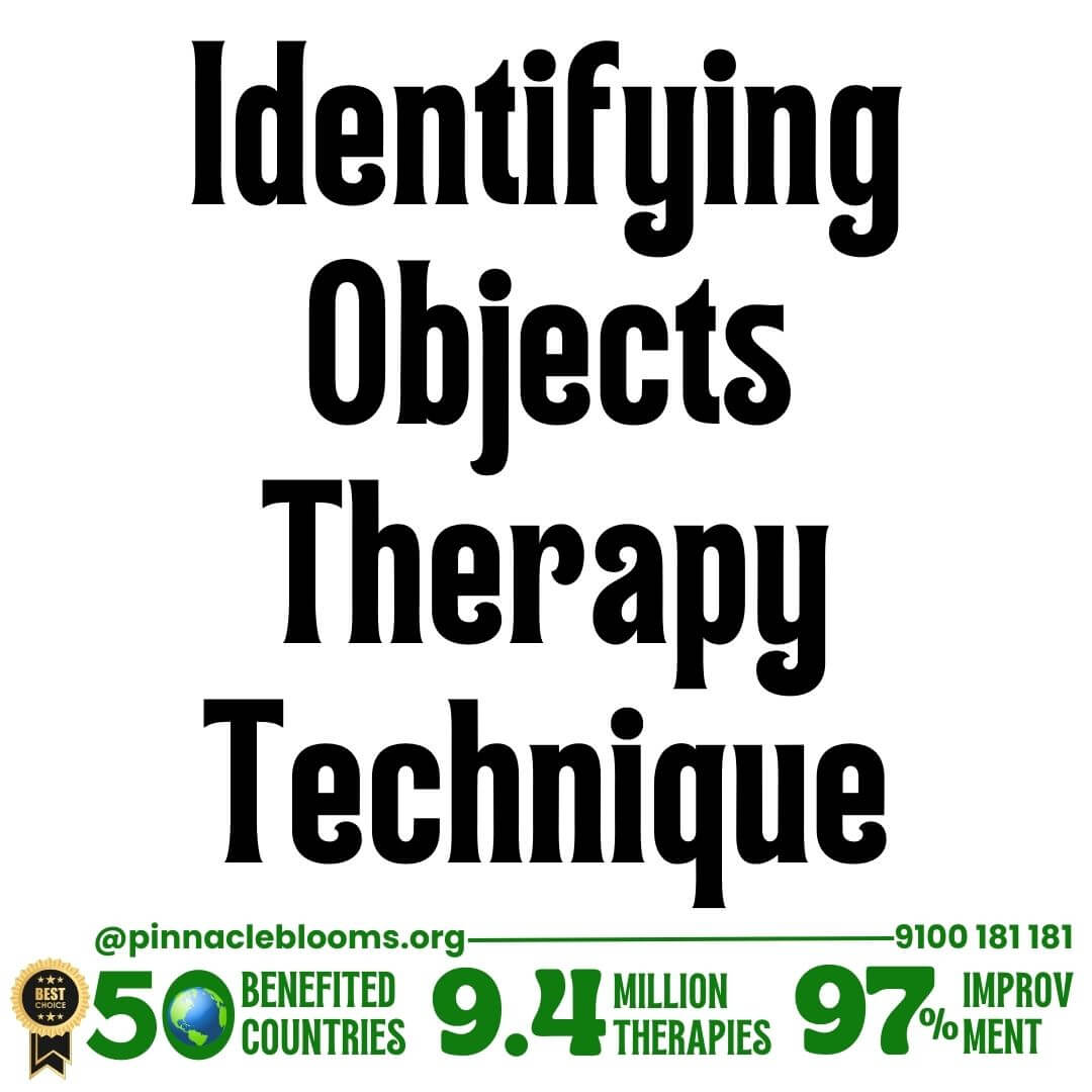 Transforming Lives with Identifying Objects Therapy Techniq