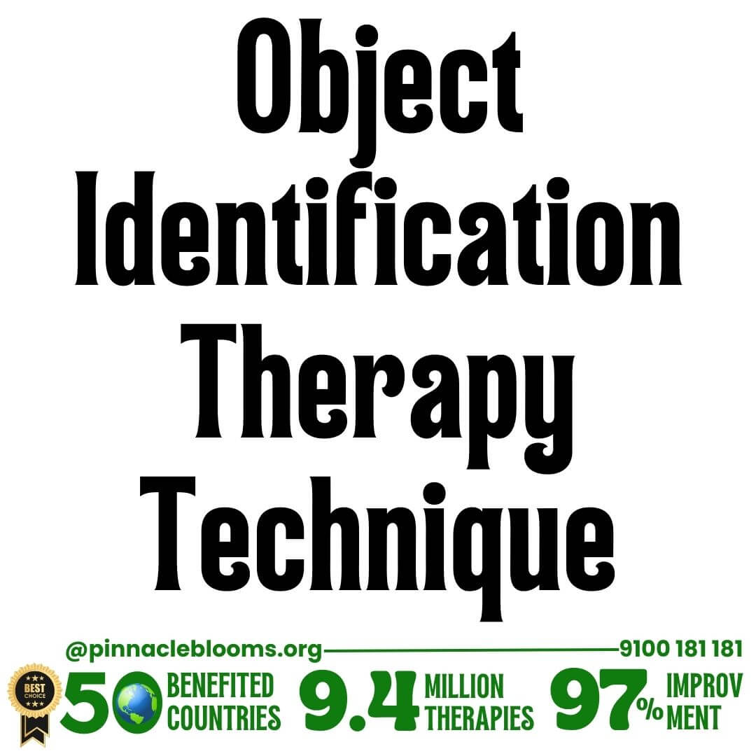 Transforming Lives with Object Identification Therapy Techn