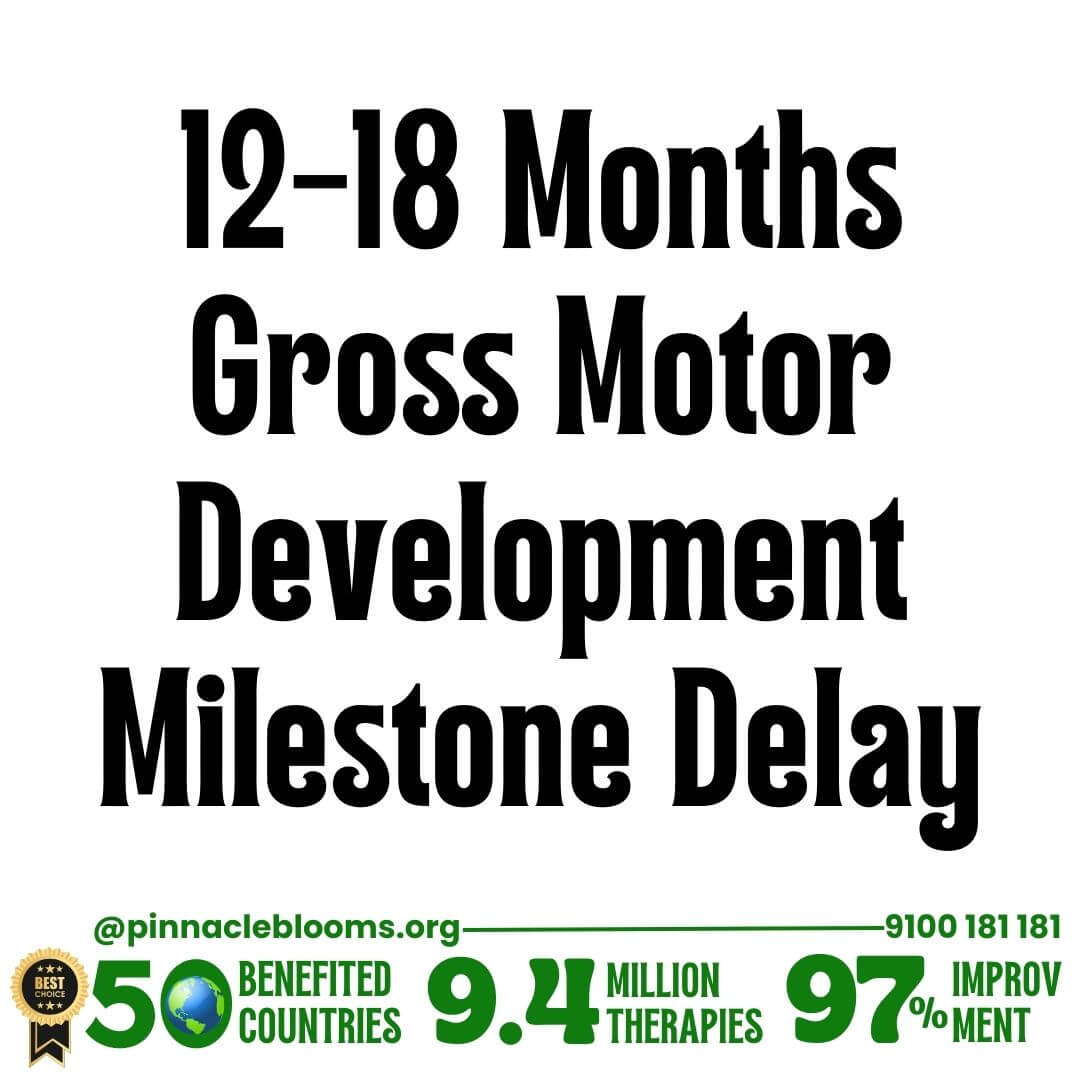 Gross Motor Developmental Milestone Delay in 12-18 Months