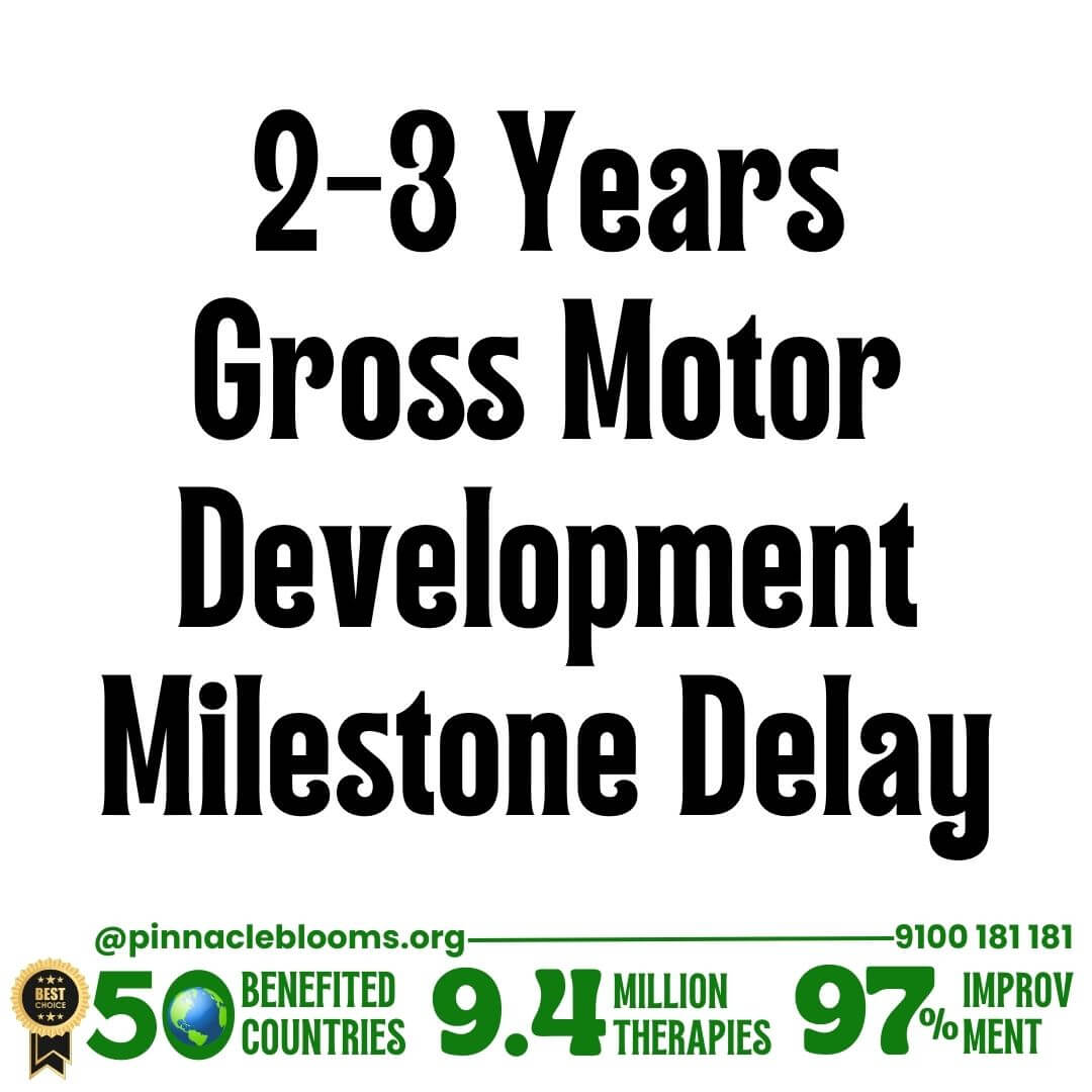 Gross Motor Developmental Milestones in 2-3 Years - Pinnacl
